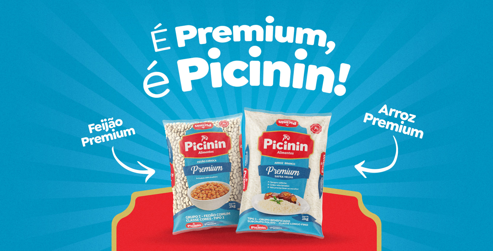 Picinin Alimentos